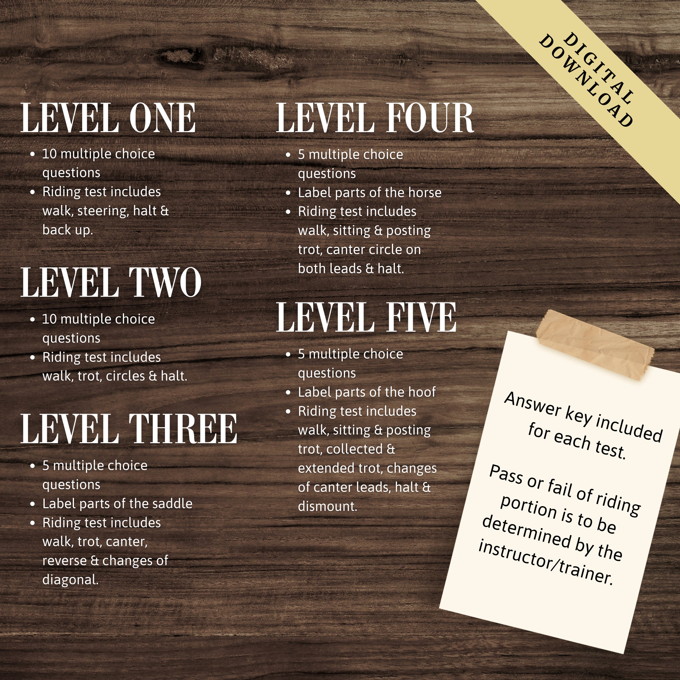 Horseback Riding Ability Tests | Equine Curriculum | Horsemanship Test ...