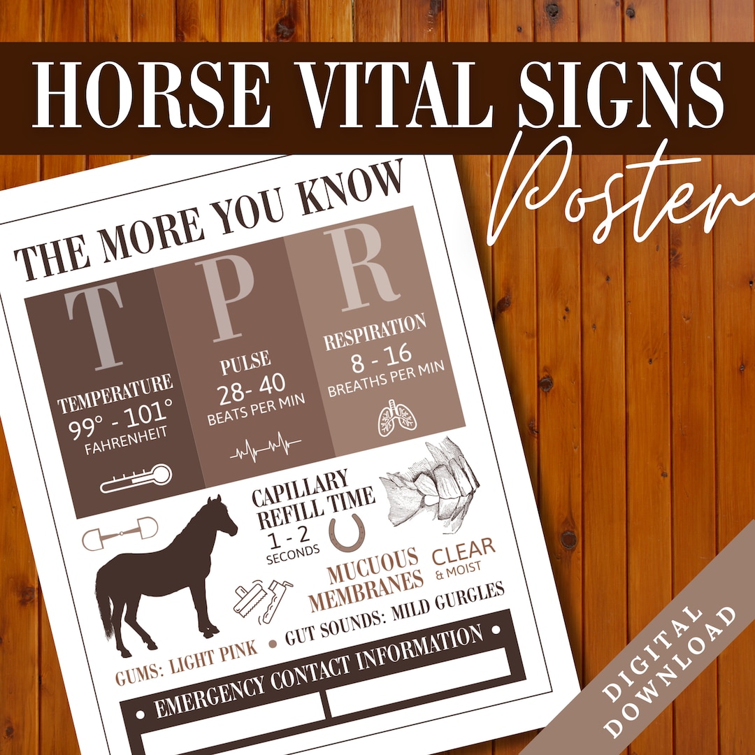 Horse Vital Signs Poster | Barn Emergency Contact Info Sign | Equine ...