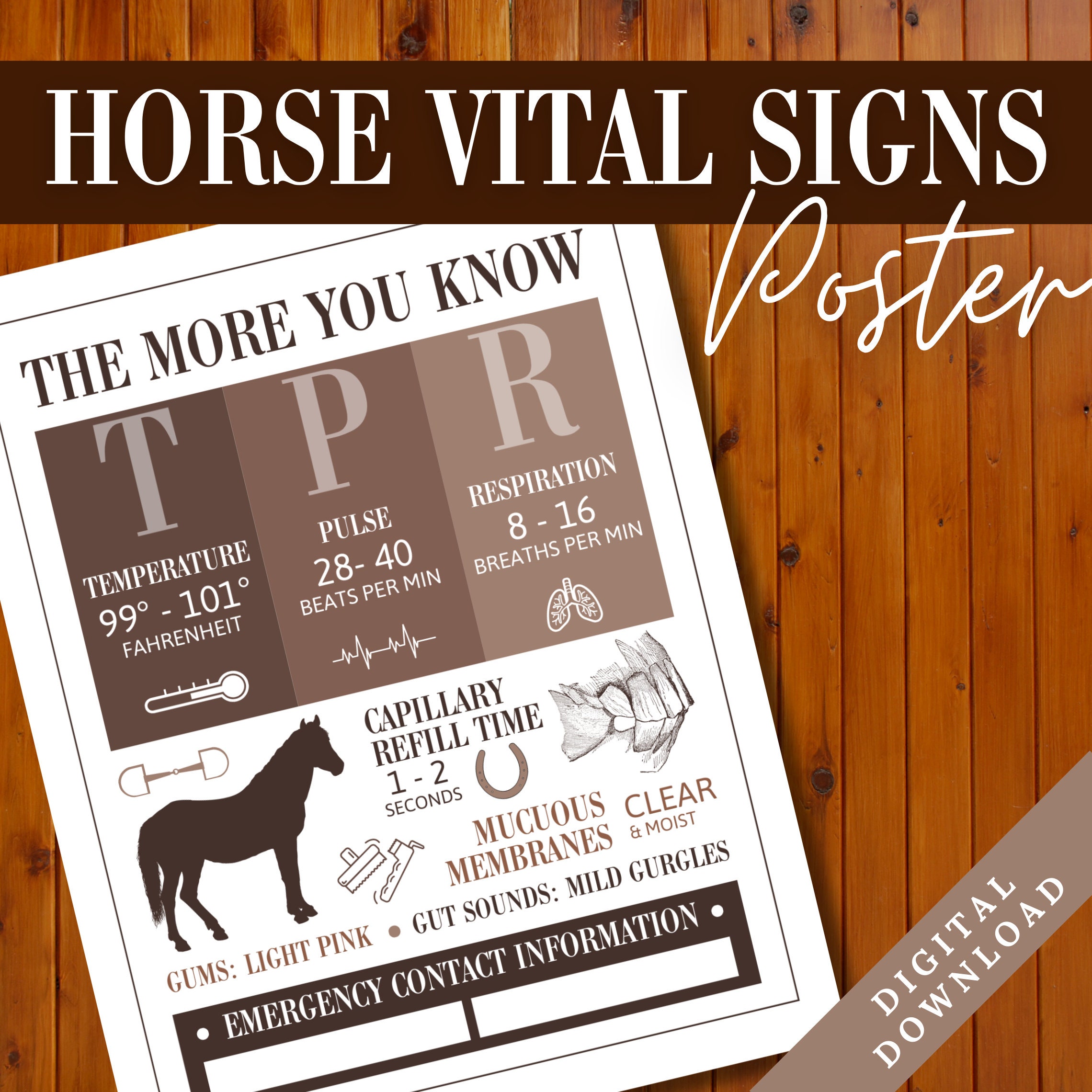 Horse Vital Signs Poster | Barn Emergency Contact Info Sign | Equine ...