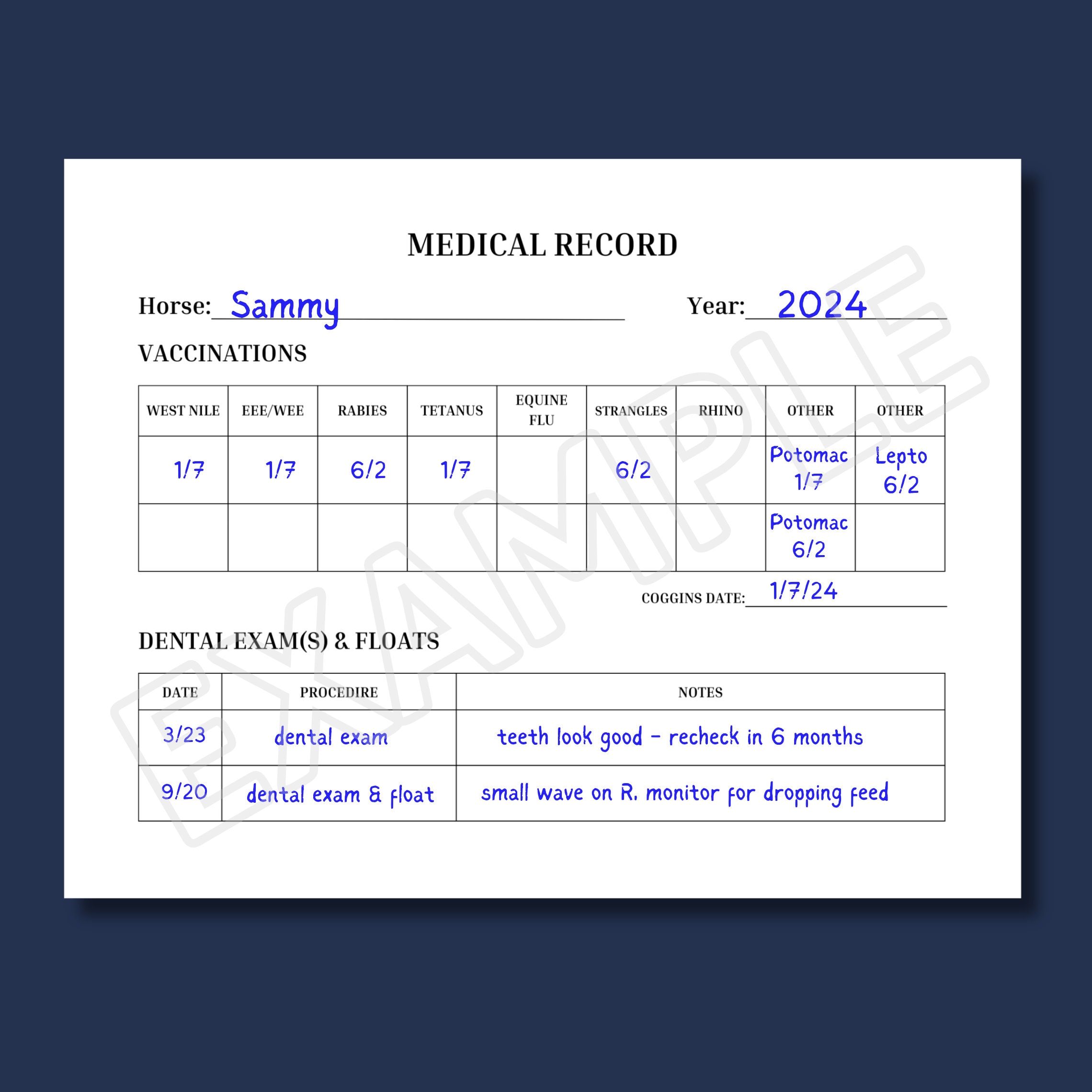 Horse Medical Record Tracking | Equine Veterinary Visit Log ...