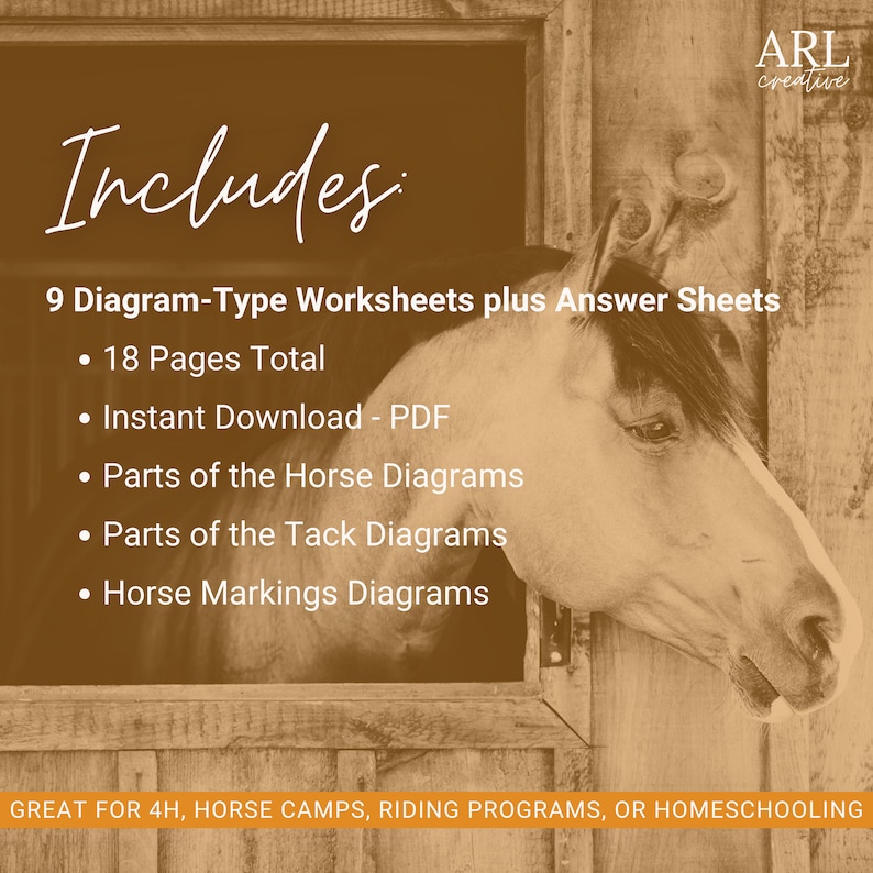 Horse Camp Worksheet Bundle | Horseback Riding Lesson Rain Day Activity | Homeschool Horse ...
