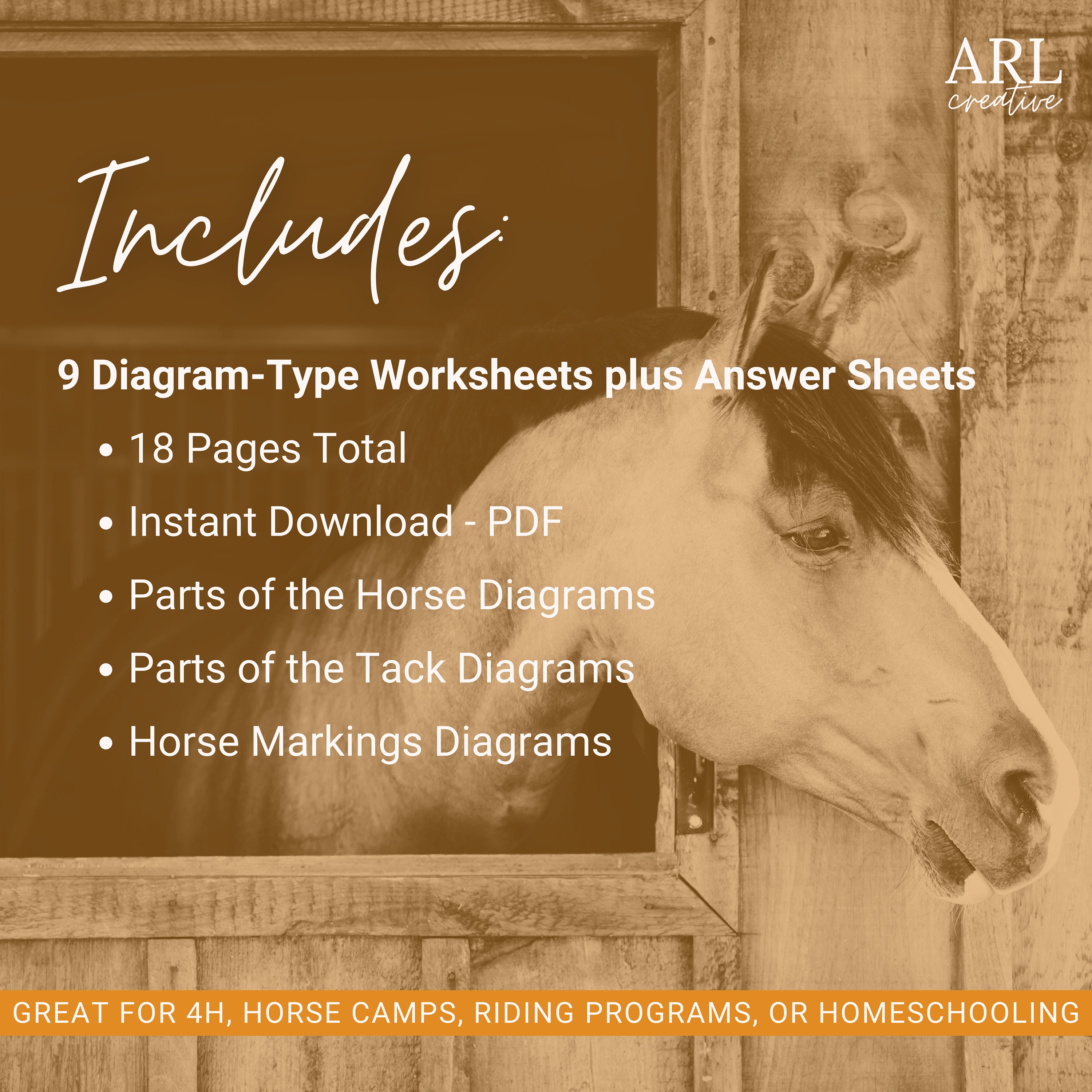 Horse Camp Worksheet Bundle | Horseback Riding Lesson Rain Day Activity | Homeschool Horse ...