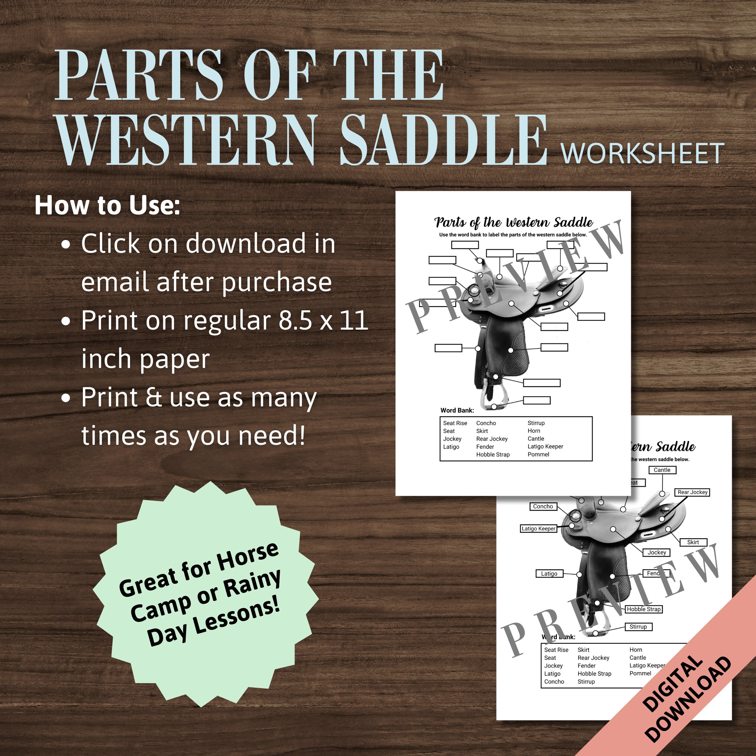 Parts of the Horses Western Saddle | Horse Tack Equipment Label ...