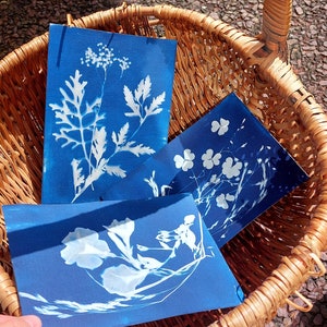 Tiny Blue 2 Cyanotype Photo Original Art Colourful Wall Art - Etsy