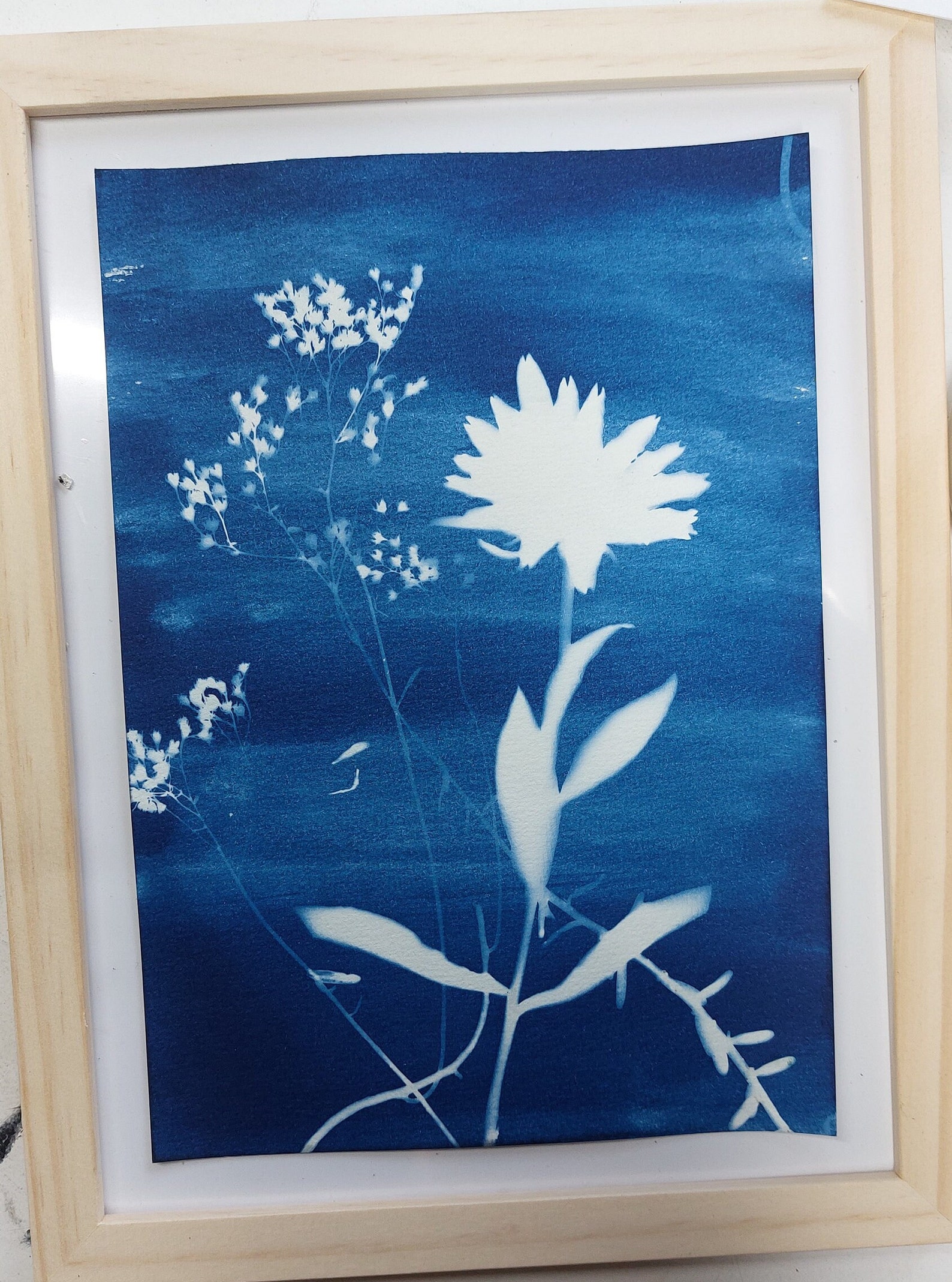 Tiny Blue 2 Cyanotype Photo Original Art Colourful Wall Art - Etsy