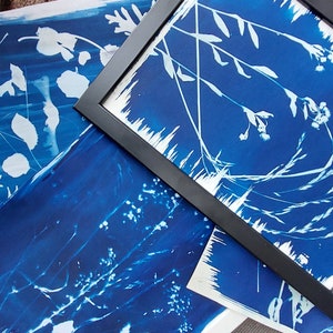 Tiny Blue 2 Cyanotype Photo Original Art Colourful Wall Art - Etsy