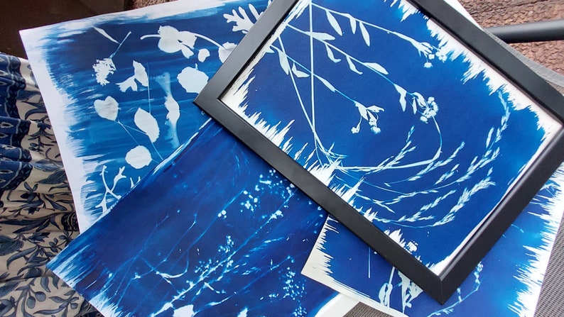 Tiny Blue 2 Cyanotype Photo Original Art Colourful Wall Art - Etsy