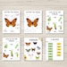 Printable Forest Book for Homeschool, Nature Study Learning Materials ...