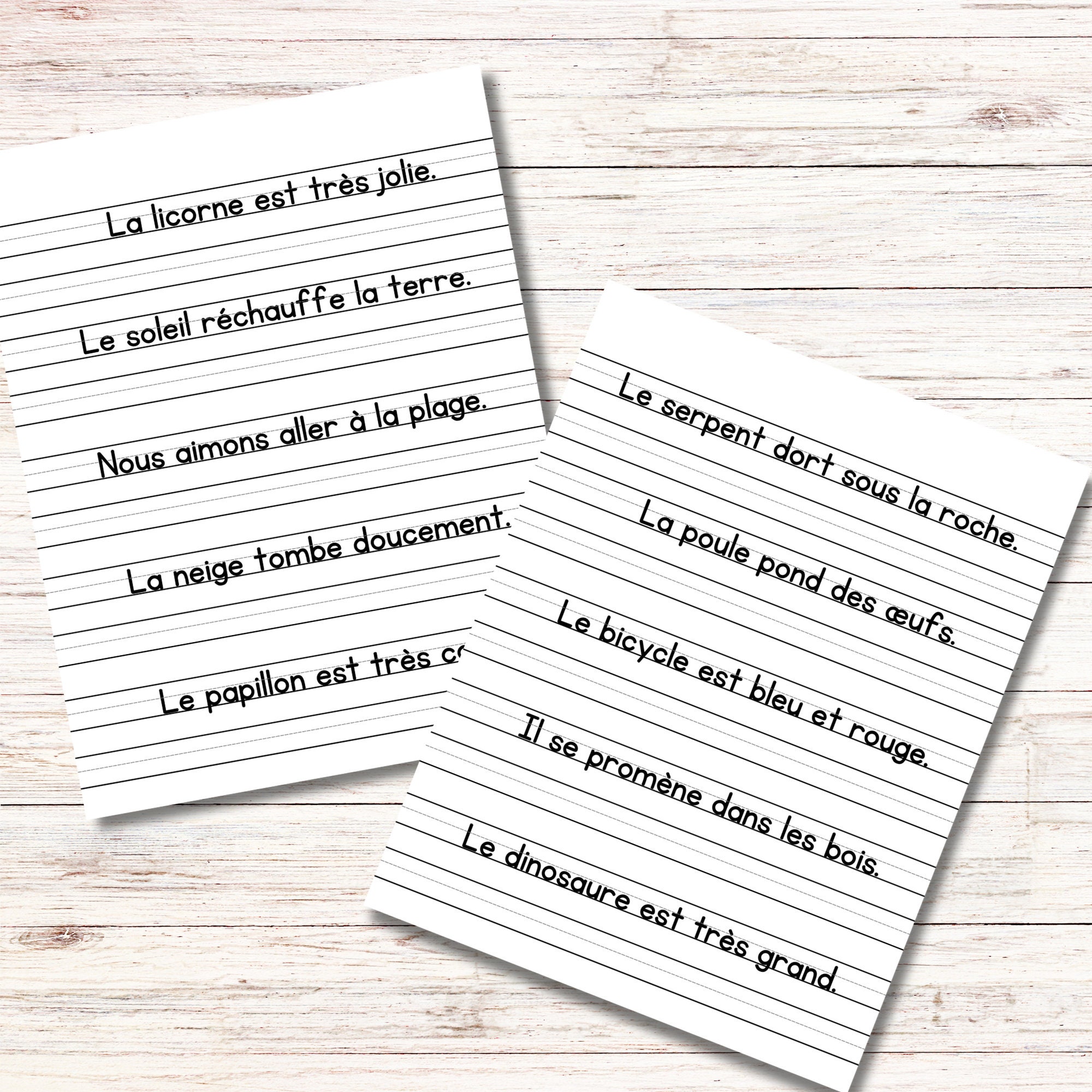 10 Sentence Writing Worksheets, French Sentence Writing Activity ...