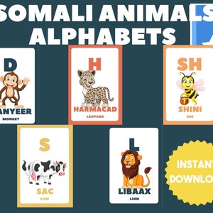 SOMALI Animal ALHPABETS Flashcards With Picture, Learning SOMALI ...