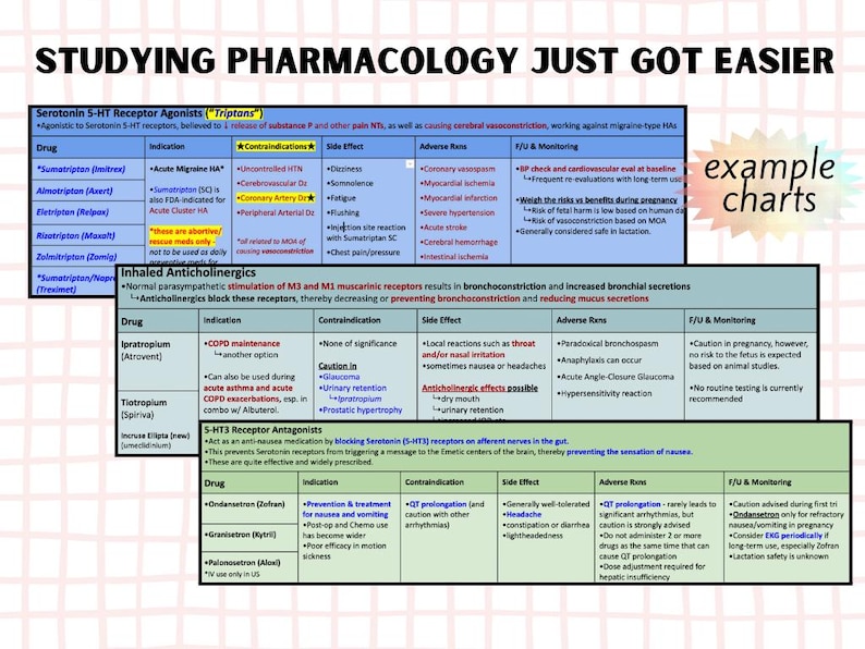 Dermatology Completed Drug Charts - Etsy