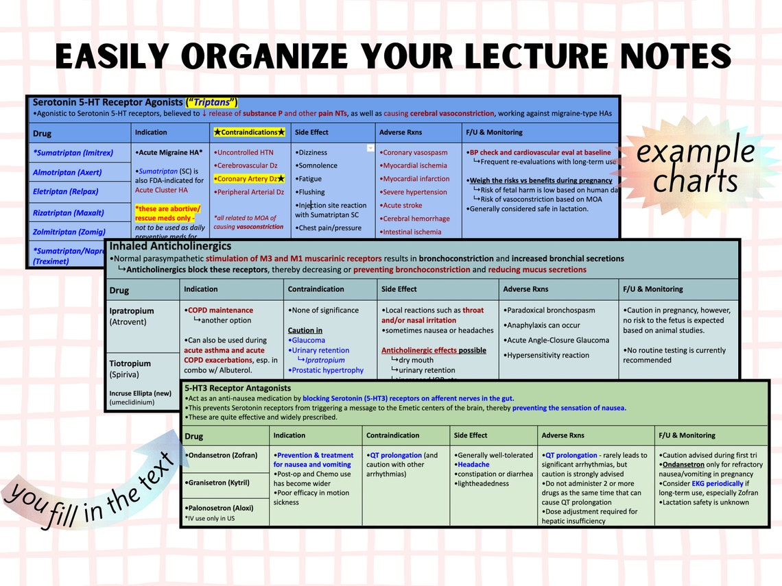 Google Docs Note Template for PA School - Pharmacology - Etsy