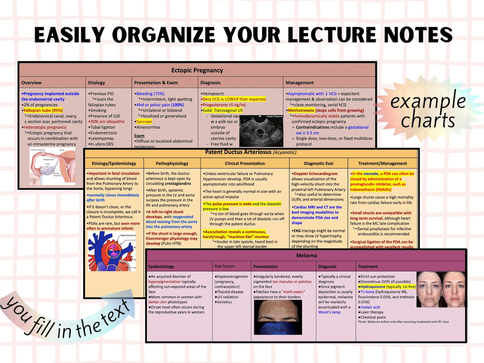 Google Docs Note Template for PA School - Clinical Medicine - Etsy