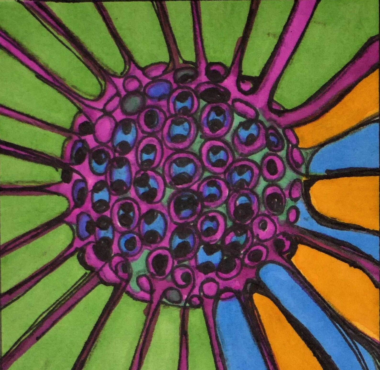 Radiolaria Flowers One...a Small Bright Color Square Drawing...haeckel ...