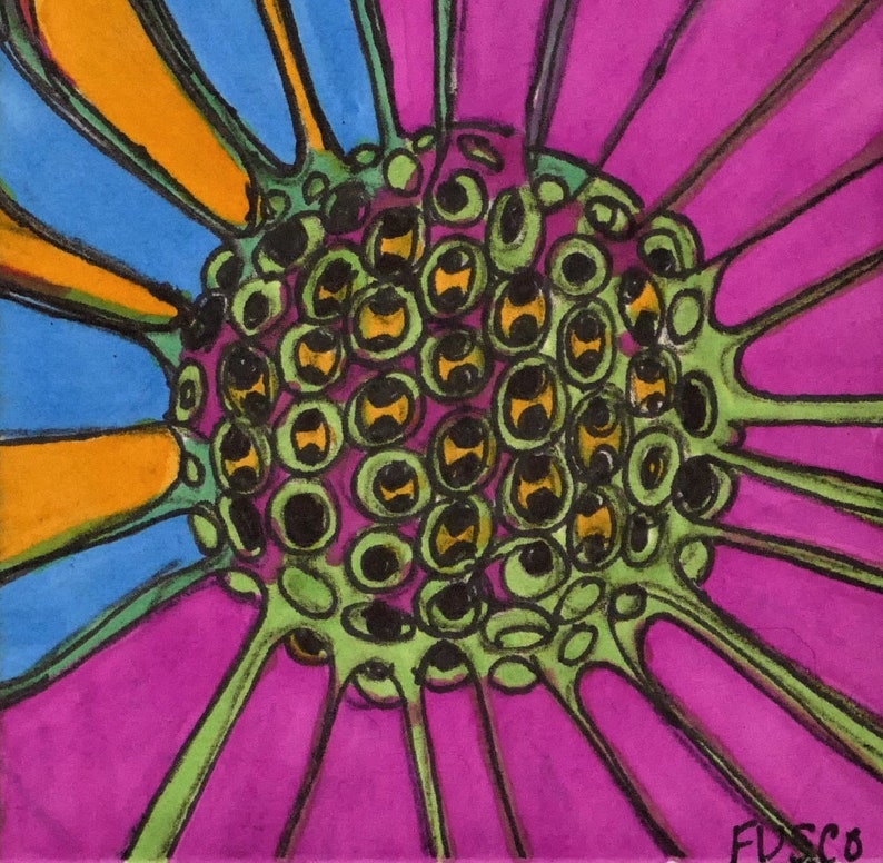 Radiolaria Flowers One...a Small Bright Color Square Drawing...haeckel ...