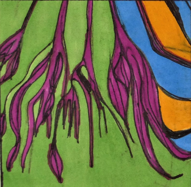 Radiolaria Flowers One...a Small Bright Color Square Drawing...haeckel ...