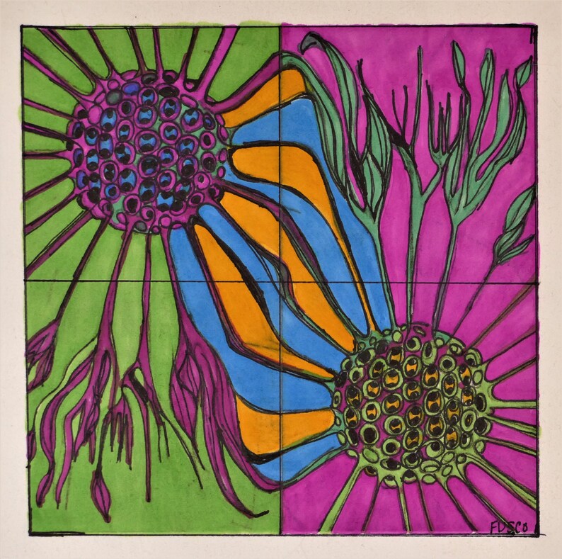 Radiolaria Flowers One...a Small Bright Color Square Drawing...haeckel ...