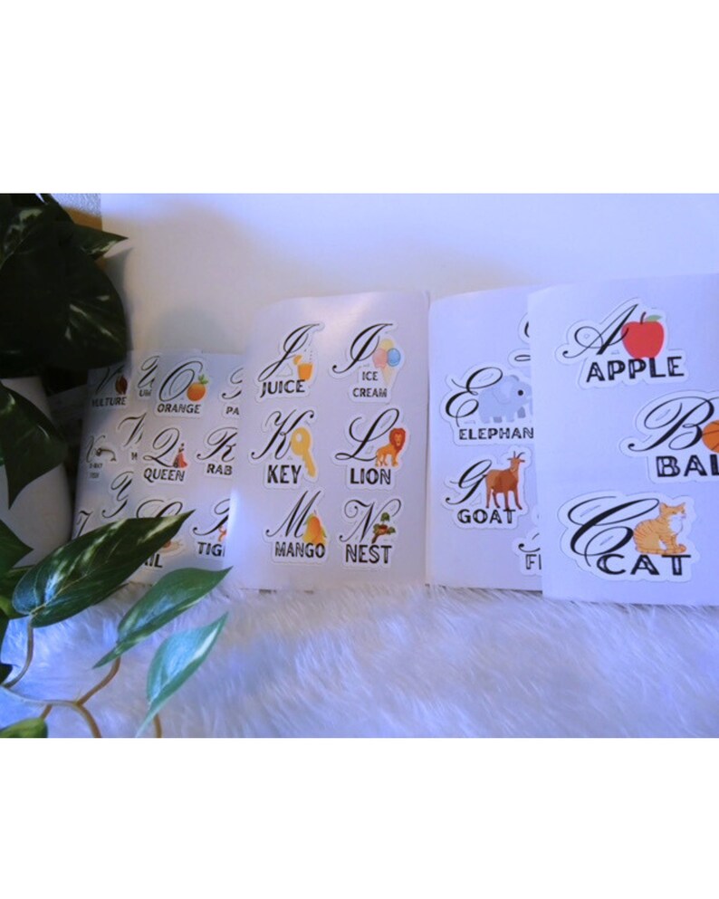 Learning Alphabet Typography SVG Educational Alphabet Script Design ...