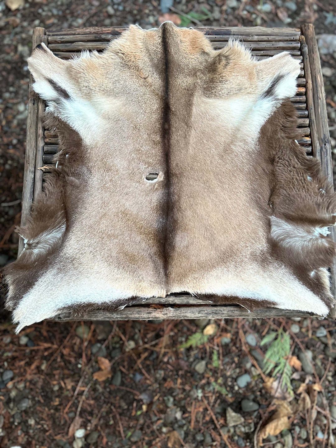 Exotic Goat Hide Goat Hide Rug Goat Leather - Etsy