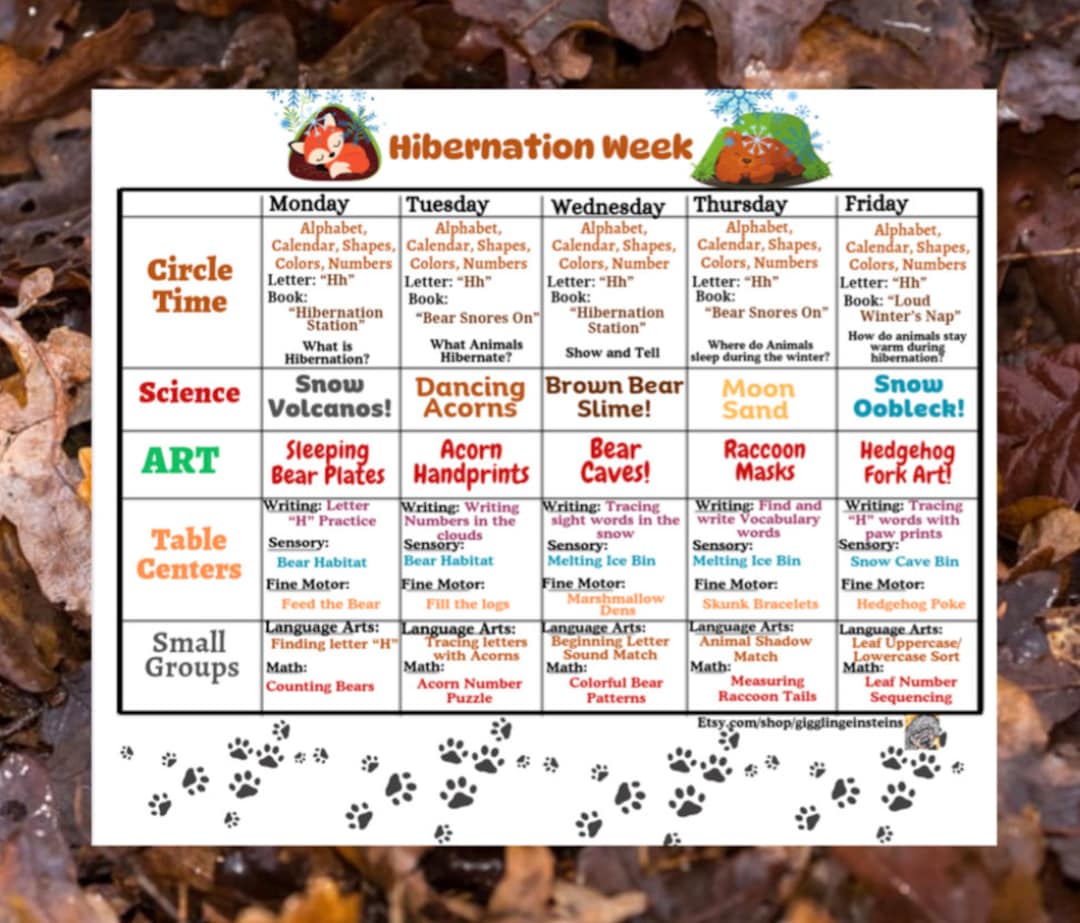 Hibernation Activities and Lessons for Preschool and Kindergarten ...