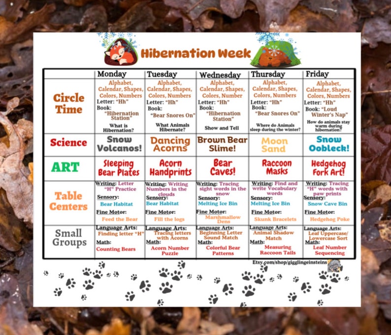 Hibernation of Winter Animals! Educational Activities All About ...