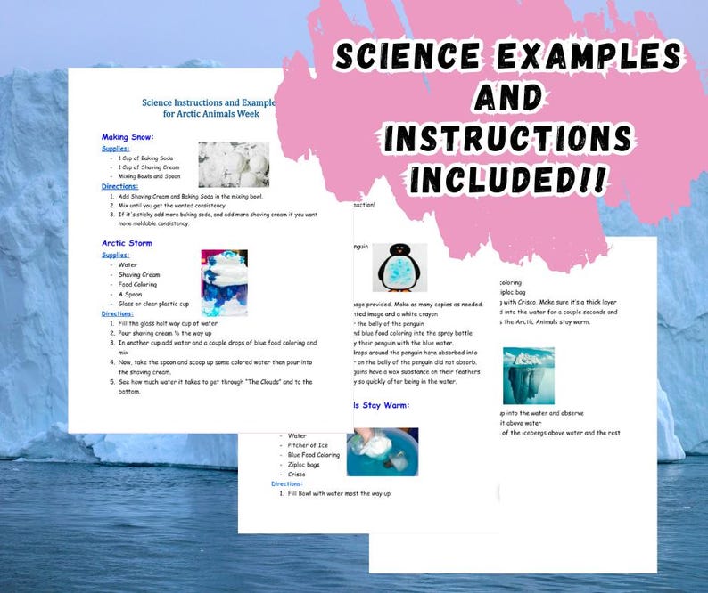 Arctic Animals! Educational Learning Activities for Preschoolers! - Etsy