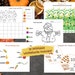 Harvest Week! Full Week Lesson Plan for Preschool and Kindergarten - Etsy