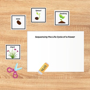 Spring Lesson Plan for Preschool/flower, Weather, and Garden Theme ...