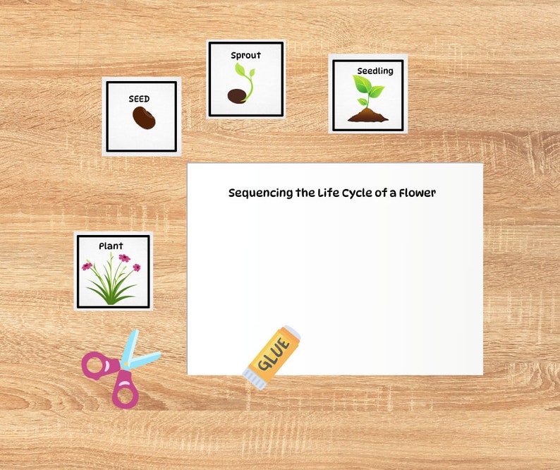 Spring Lesson Plan for Preschool/flower, Weather, and Garden Theme ...