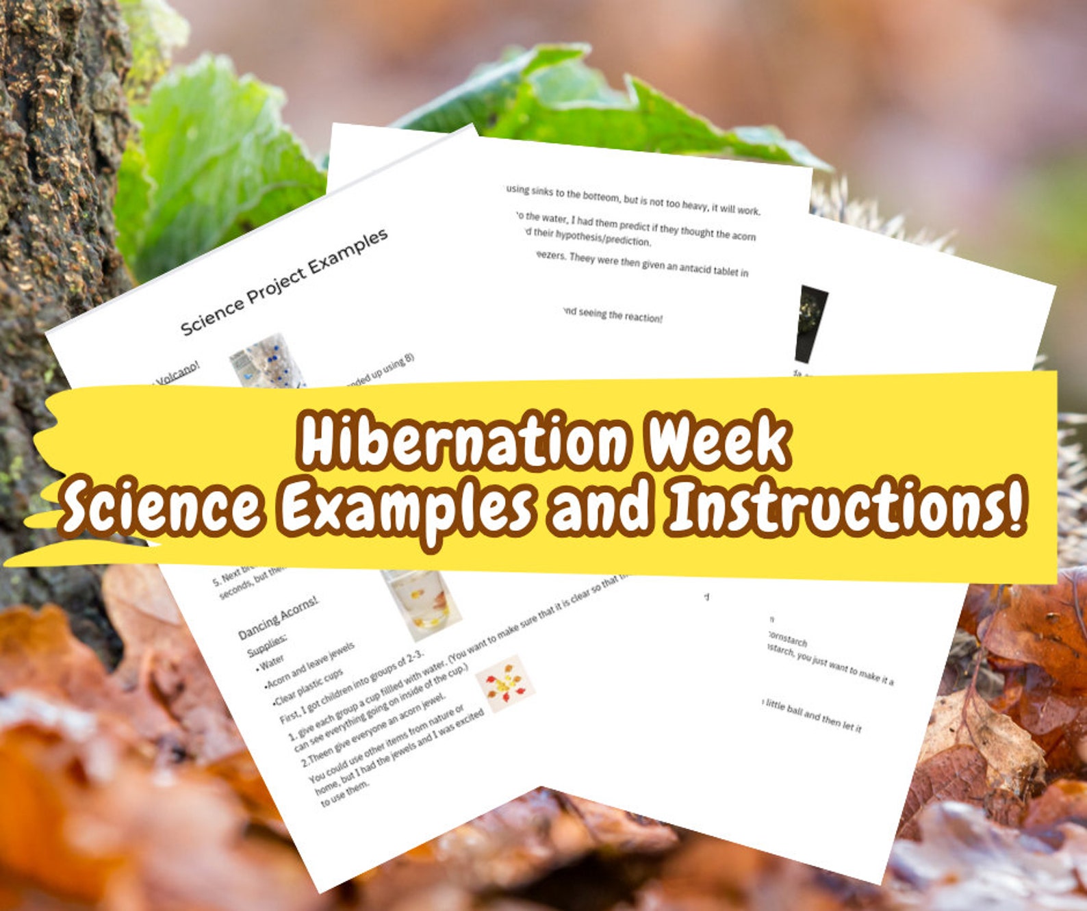 Hibernation of Winter Animals! Educational Activities All About ...