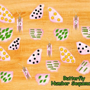 Bug Week Lesson Plan for Preschool & Kindergarten/insect Themed ...