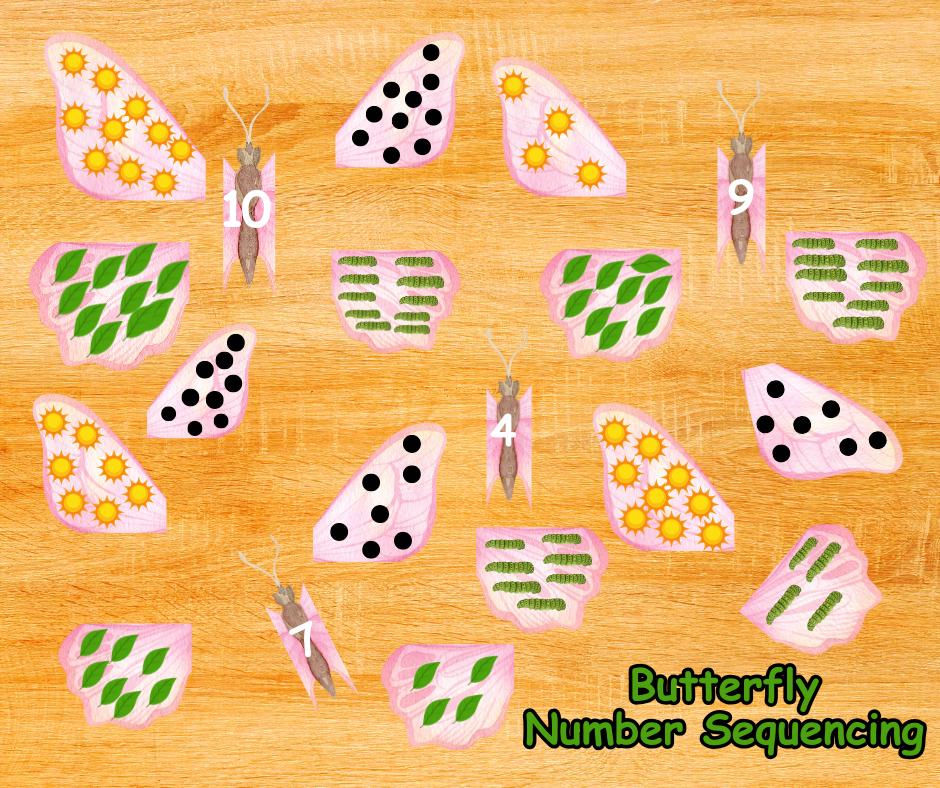 Bug Week Lesson Plan for Preschool & Kindergarten/insect Themed ...