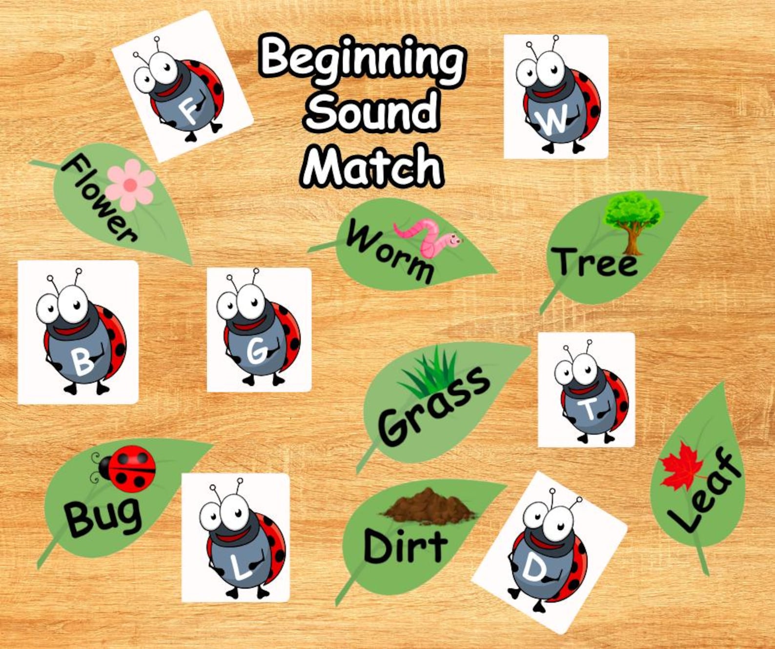 Bug Week Lesson Plan for Preschool & Kindergarten/insect Themed ...