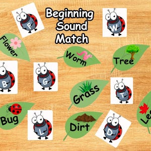 Bug Week Lesson Plan for Preschool & Kindergarten/insect Themed ...