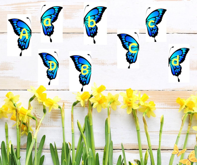Spring Lesson Plan for Preschool/flower, Weather, and Garden Theme ...