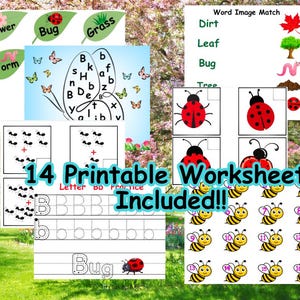 Bug Week Lesson Plan for Preschool & Kindergarten/insect Themed ...