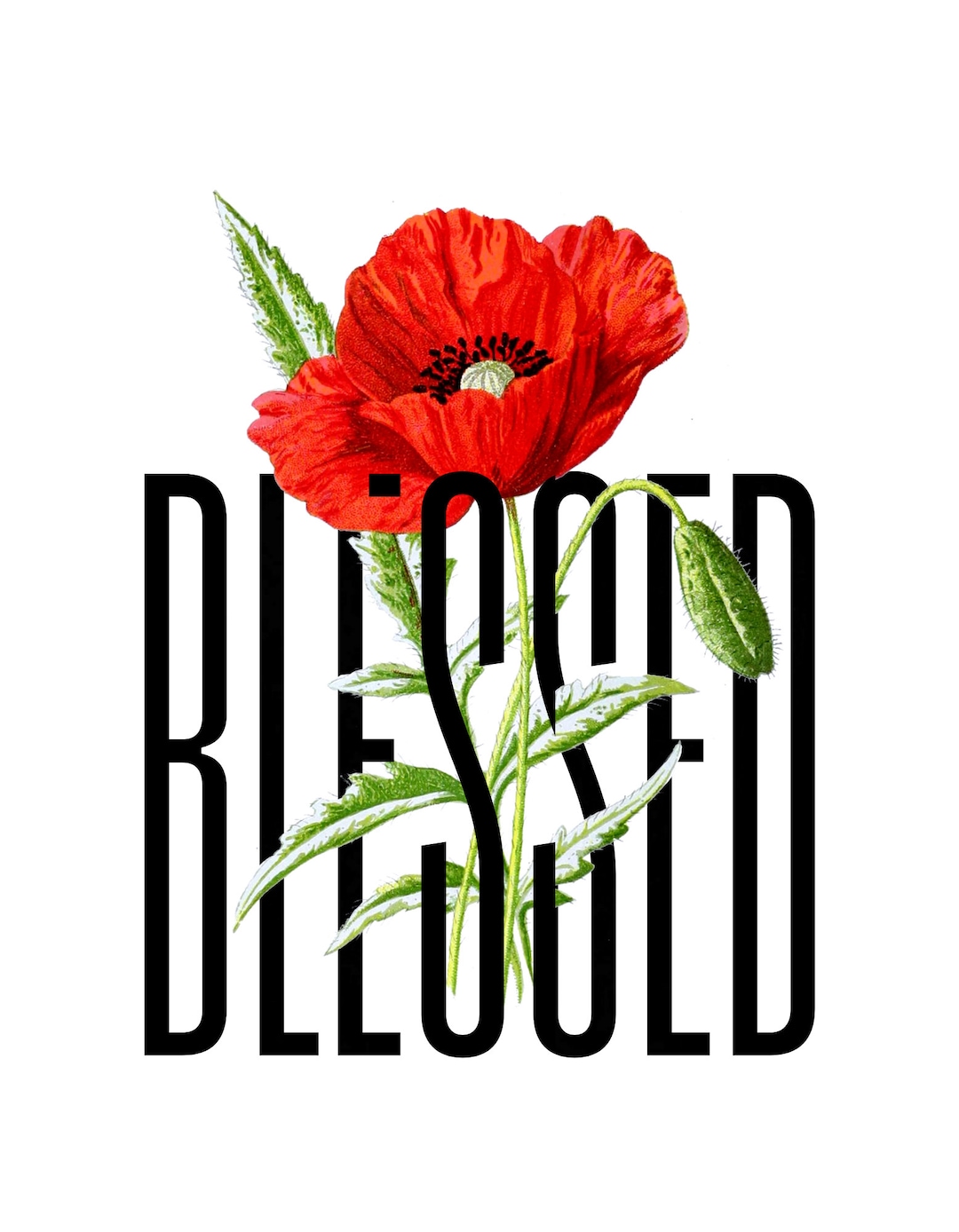 BLESSED | Digital File PNG - Etsy
