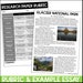 Research Paper | Complete Unit for Upper Elementary - Etsy