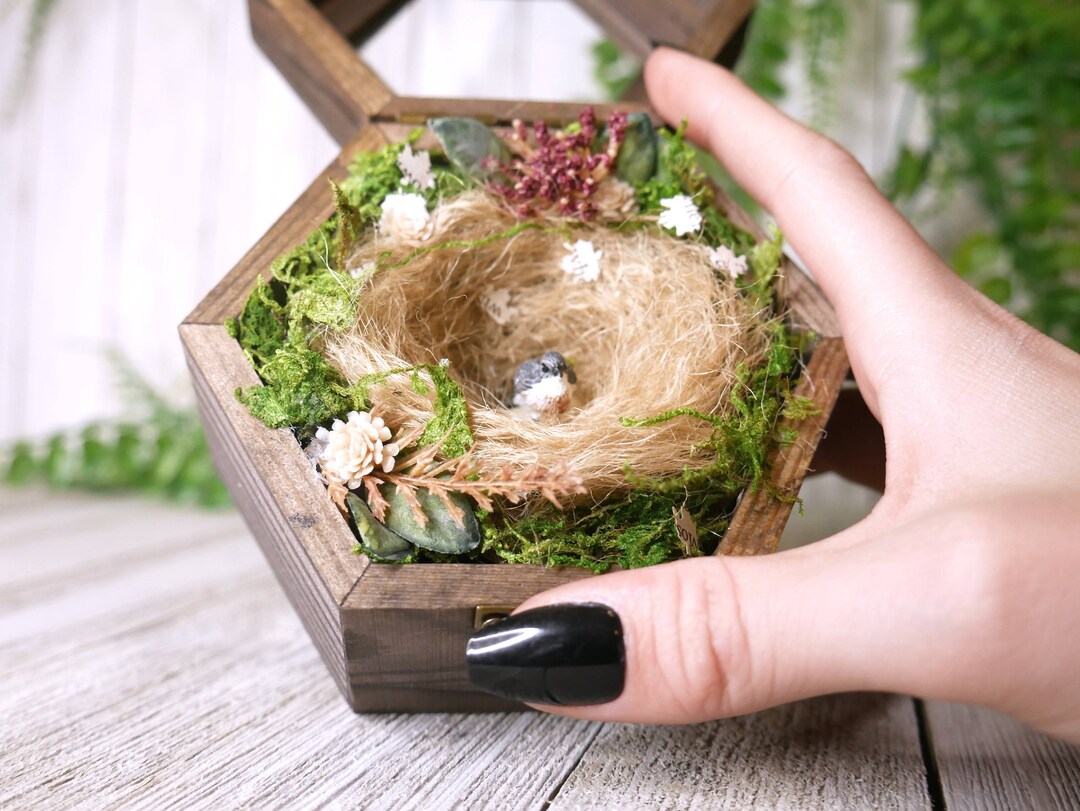 Bitty Bird Box - Etsy