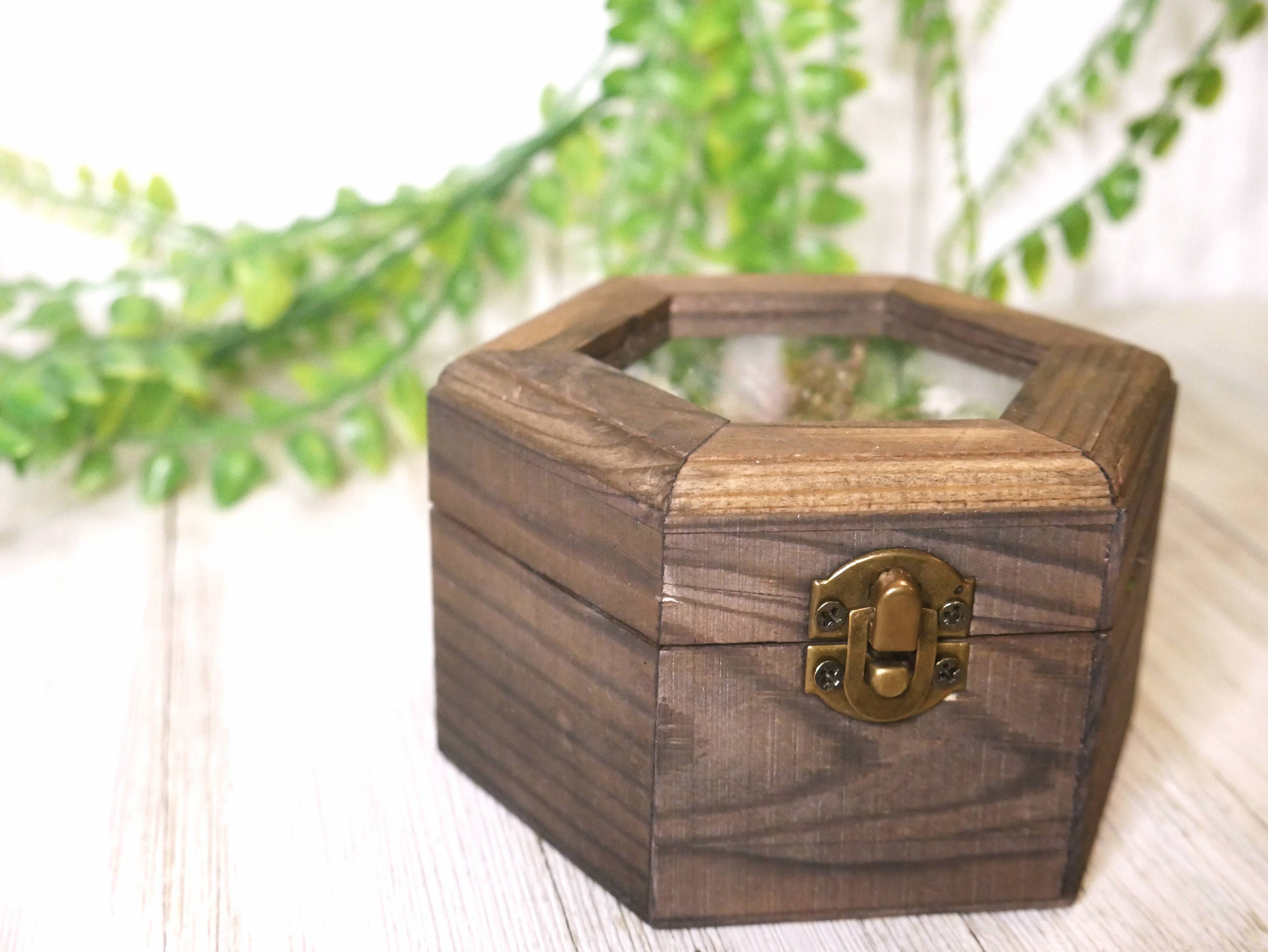 Bitty Bird Box - Etsy