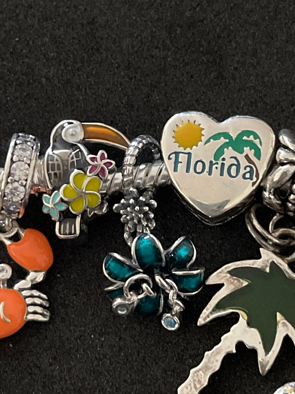 Florida Living Charm Bracelet - Etsy Canada