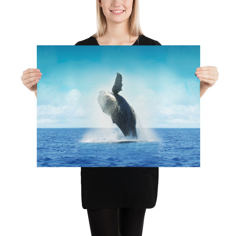 Dancing Whale Poster - Etsy