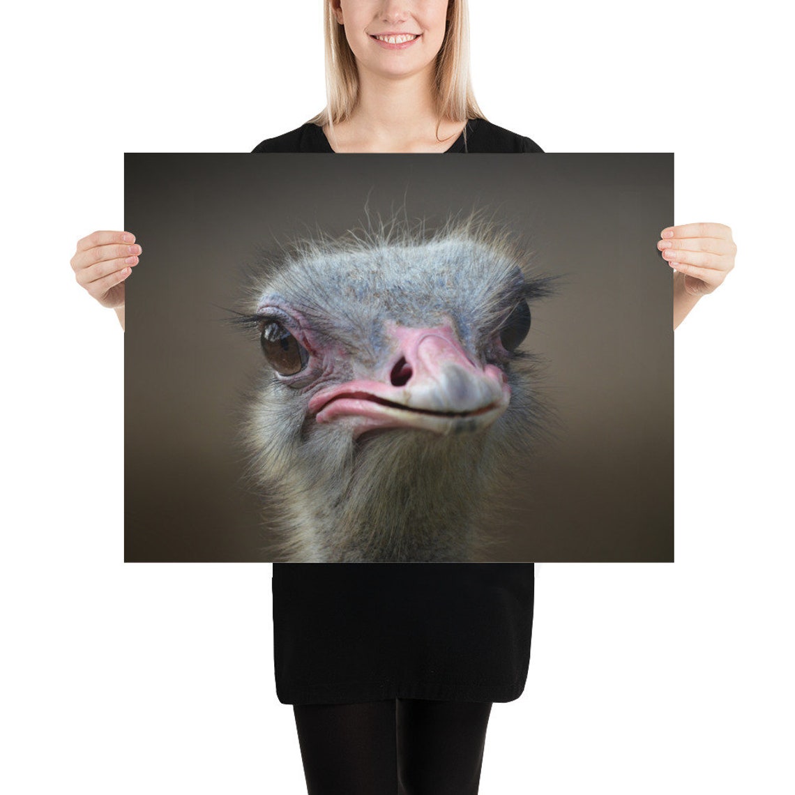 Oswald the Ostrich Poster - Etsy