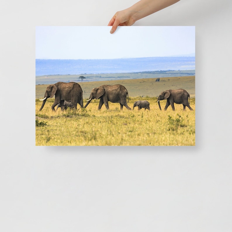 Marching Elephants Poster - Etsy