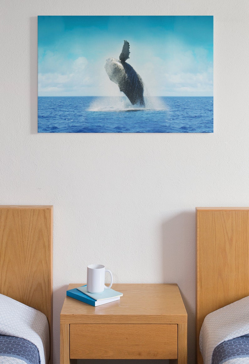 Dancing Whale Poster - Etsy