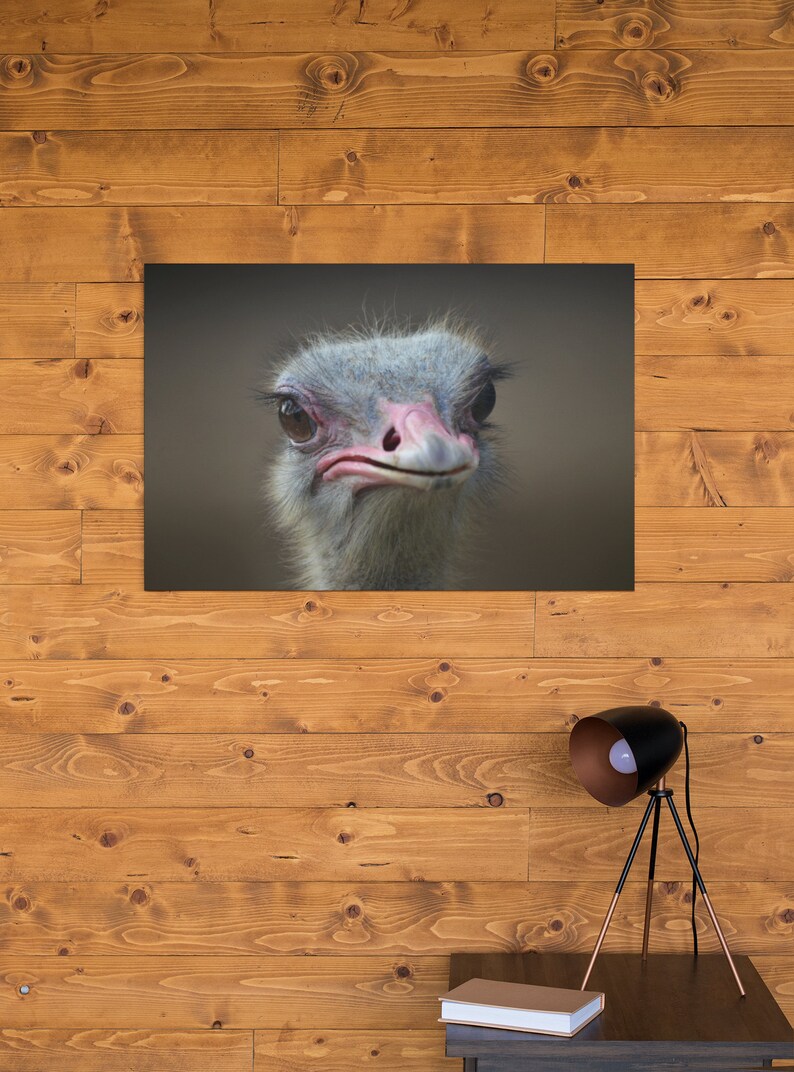 Oswald the Ostrich Poster - Etsy