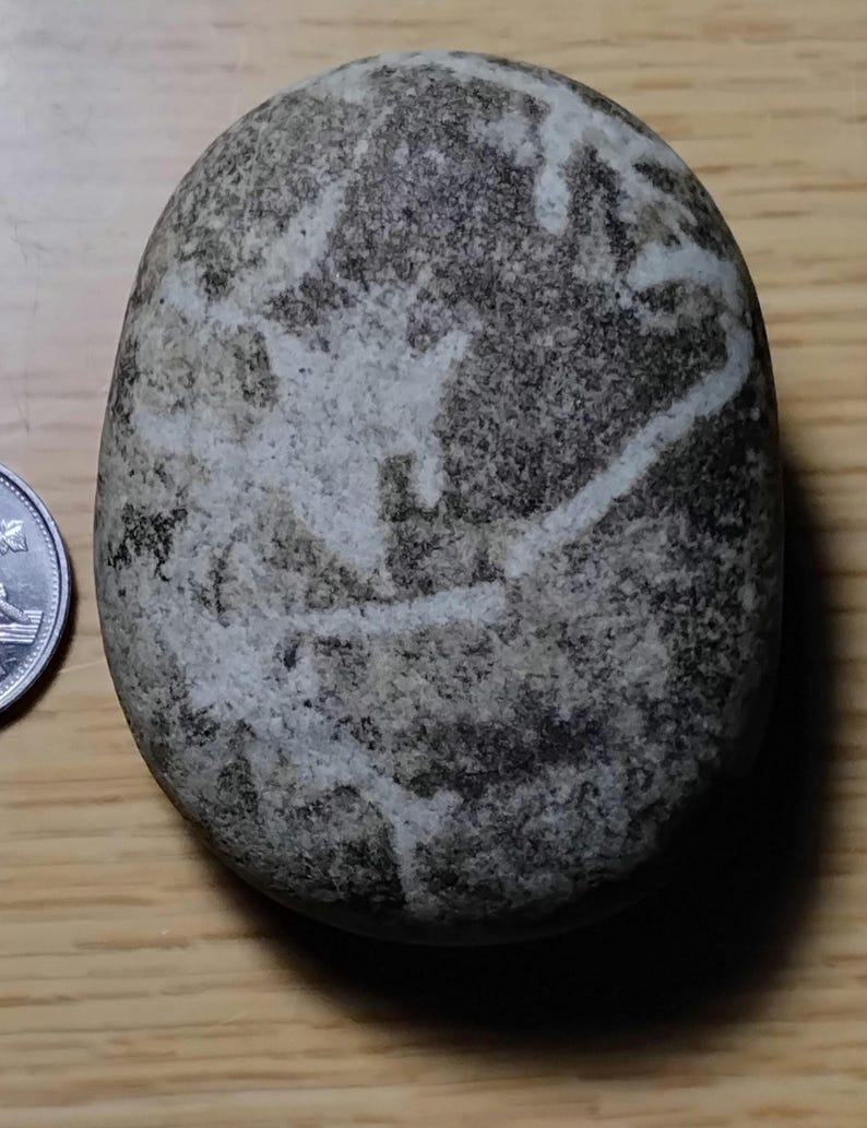 Fossil-ferrous Limestone With Unique Patterns - Etsy