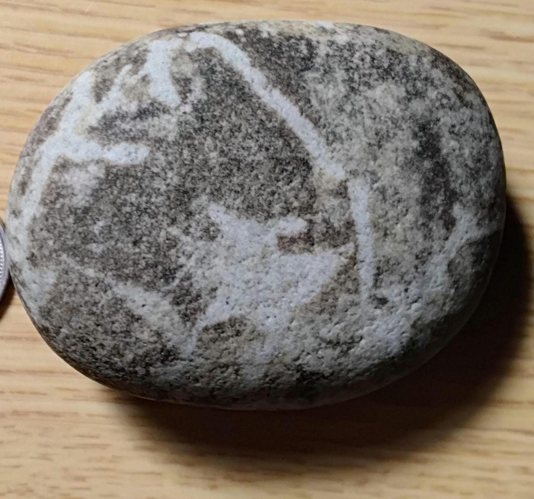 Fossil-ferrous Limestone With Unique Patterns - Etsy