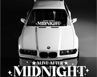 Streetwise Plotted Vinyl Banner Decal, Windshield Banner, JDM Sticker ...