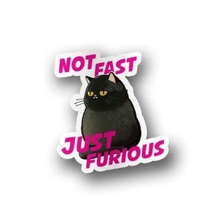 Not Fast - Just Furious - Vinyl Sticker, Car Sticker, Decal Sticker ...